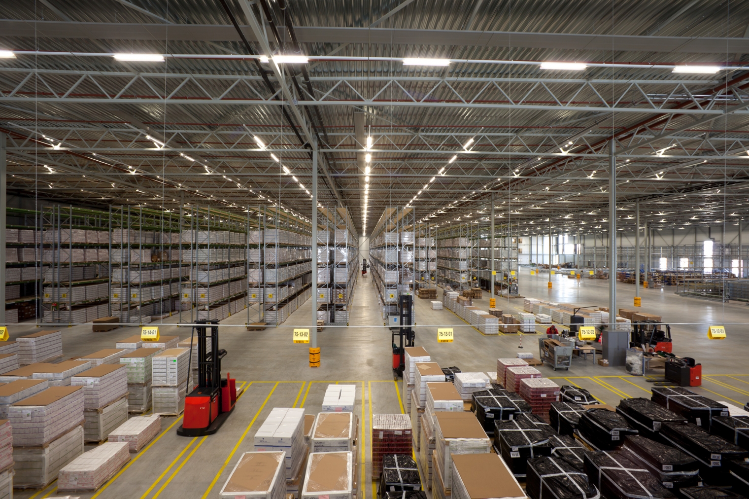 alles draait om aloë vera... - dedato